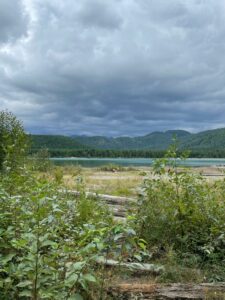 Stave Lake Camping Review: Kearsley Creek - Poptop Tree House