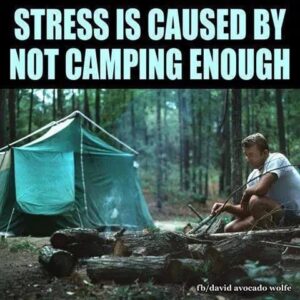 52 Camping Memes to Get You Excited for the Camping Season - Poptop ...